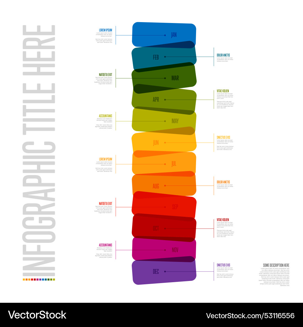 Full year vertical rainbow color time line Vector Image