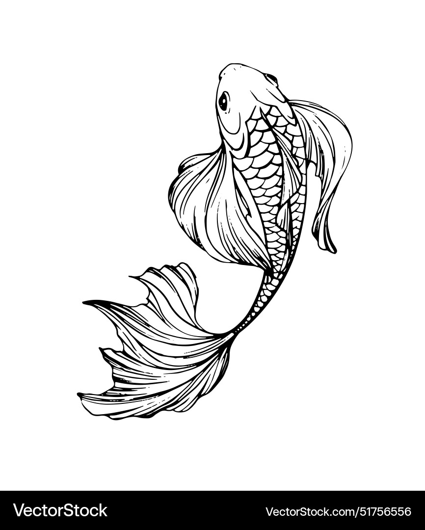 Hand-drawn fish in black and Royalty Free Vector Image