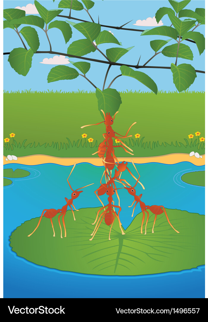 Ant Royalty Free Vector Image - VectorStock