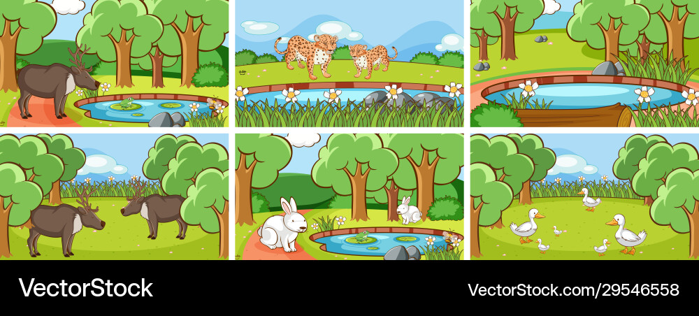 Background scenes animals in wild Royalty Free Vector Image