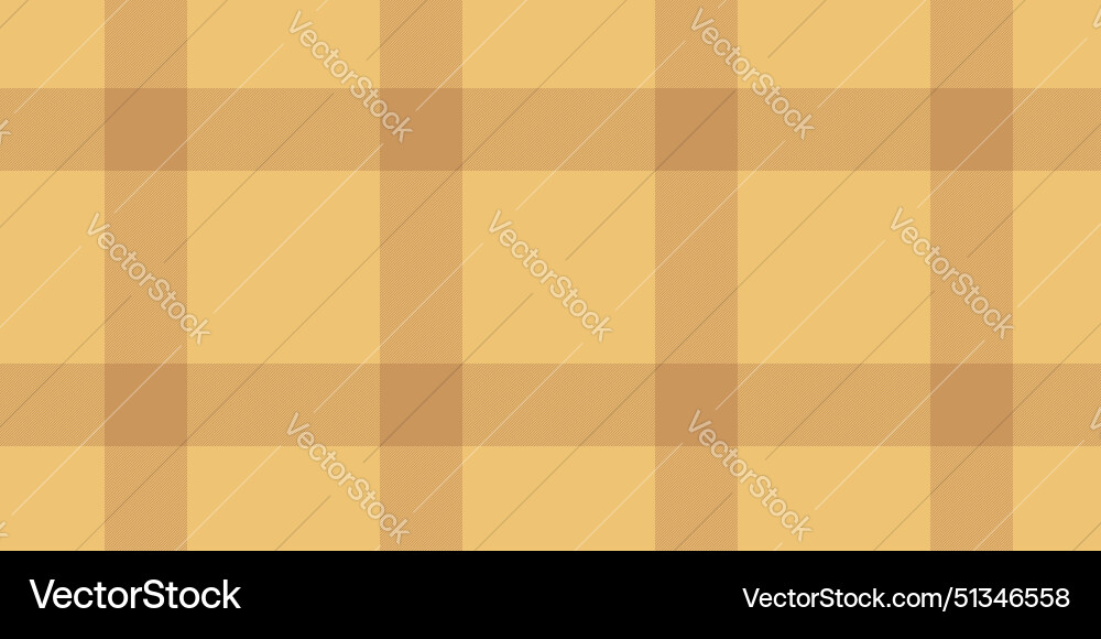 Windowpane pattern tartan fabric argyle textile Vector Image
