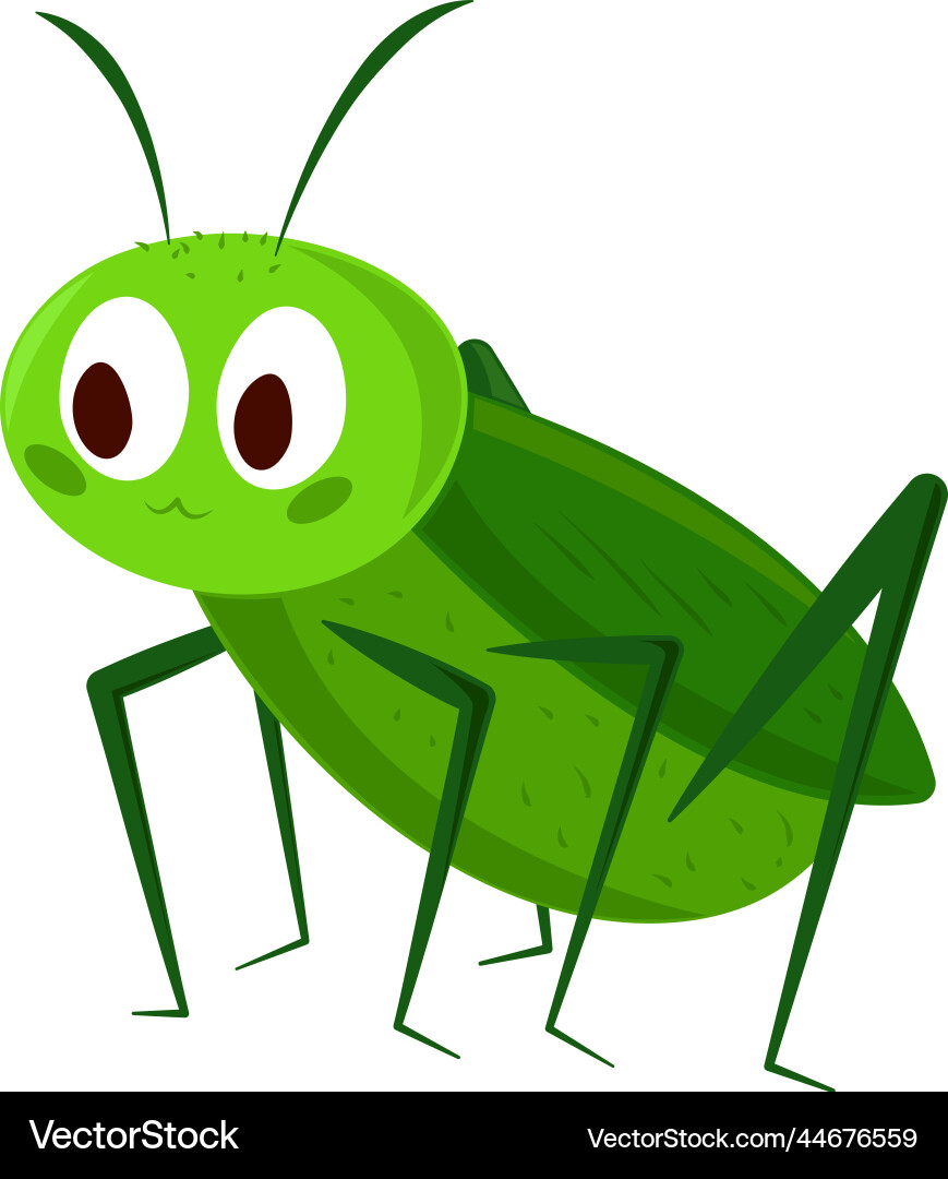 Cricket insect cartoon Royalty Free Vector Image