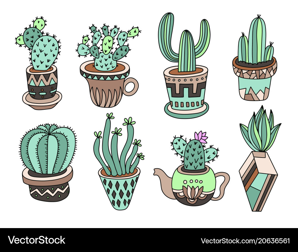 Doodle cacti collection hand drawing set Vector Image