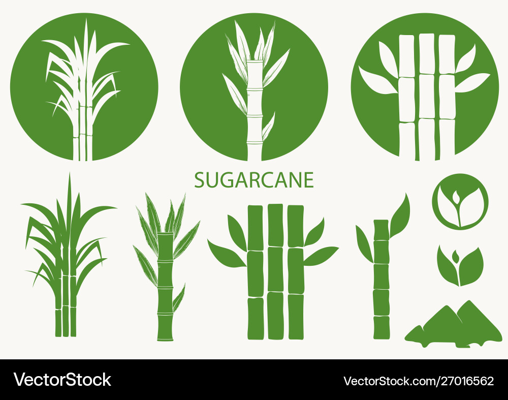 Cane Food Organic Sugar Vector Images (over 1,700)