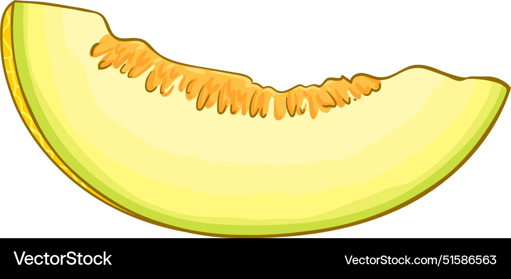 Melon fruits colored detailed Royalty Free Vector Image