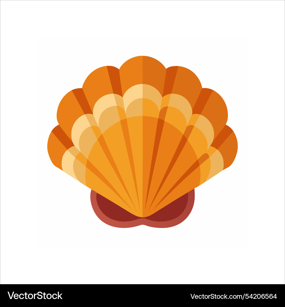 Seashell on white background Royalty Free Vector Image