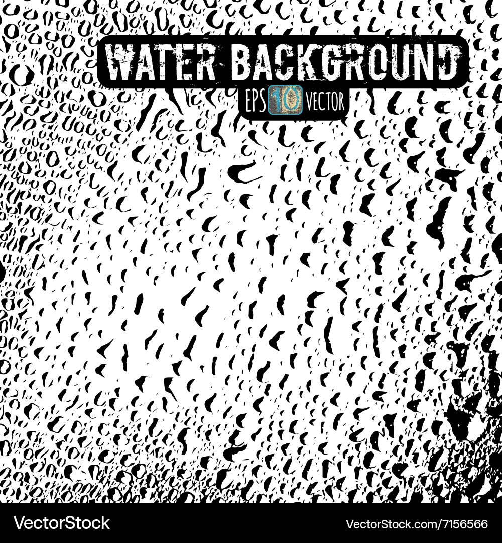 Crystal clear water drops on a shiny surface Vector Image