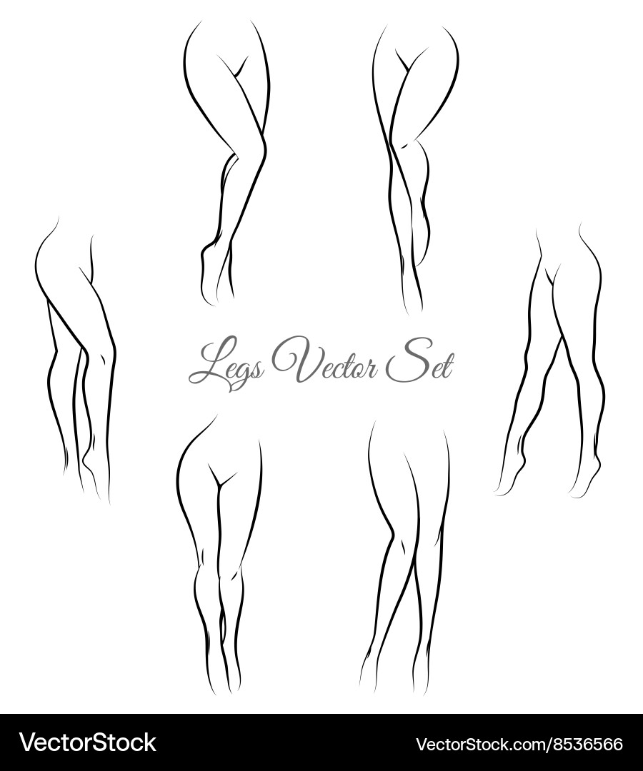 Female Legs Sketch Royalty Free Vector Image - VectorStock