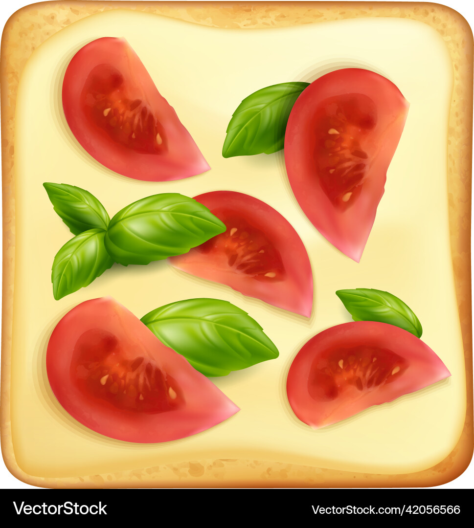 Realistic toast Royalty Free Vector Image - VectorStock