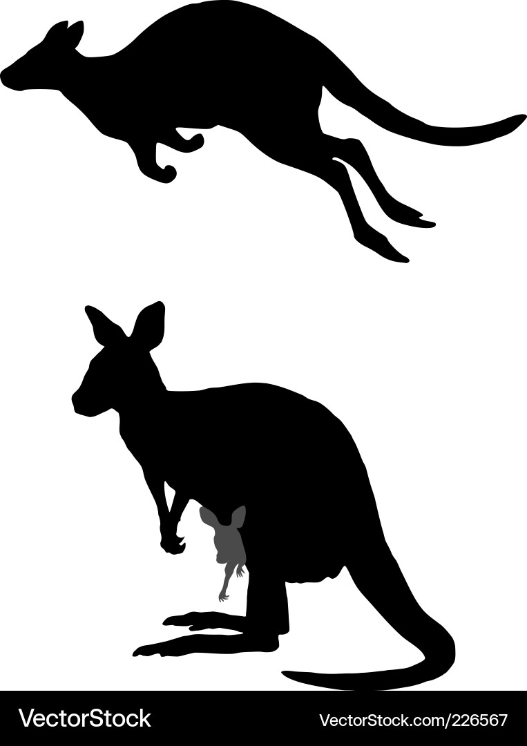 Kangaroo Royalty Free Vector Image - VectorStock