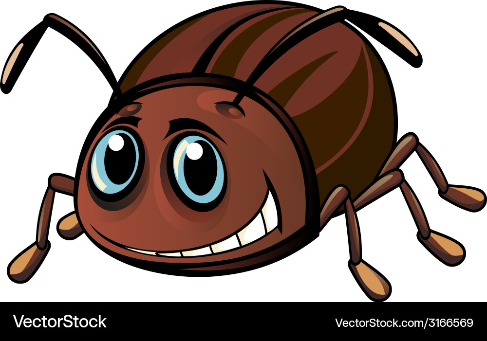 Funny beetle Royalty Free Vector Image - VectorStock