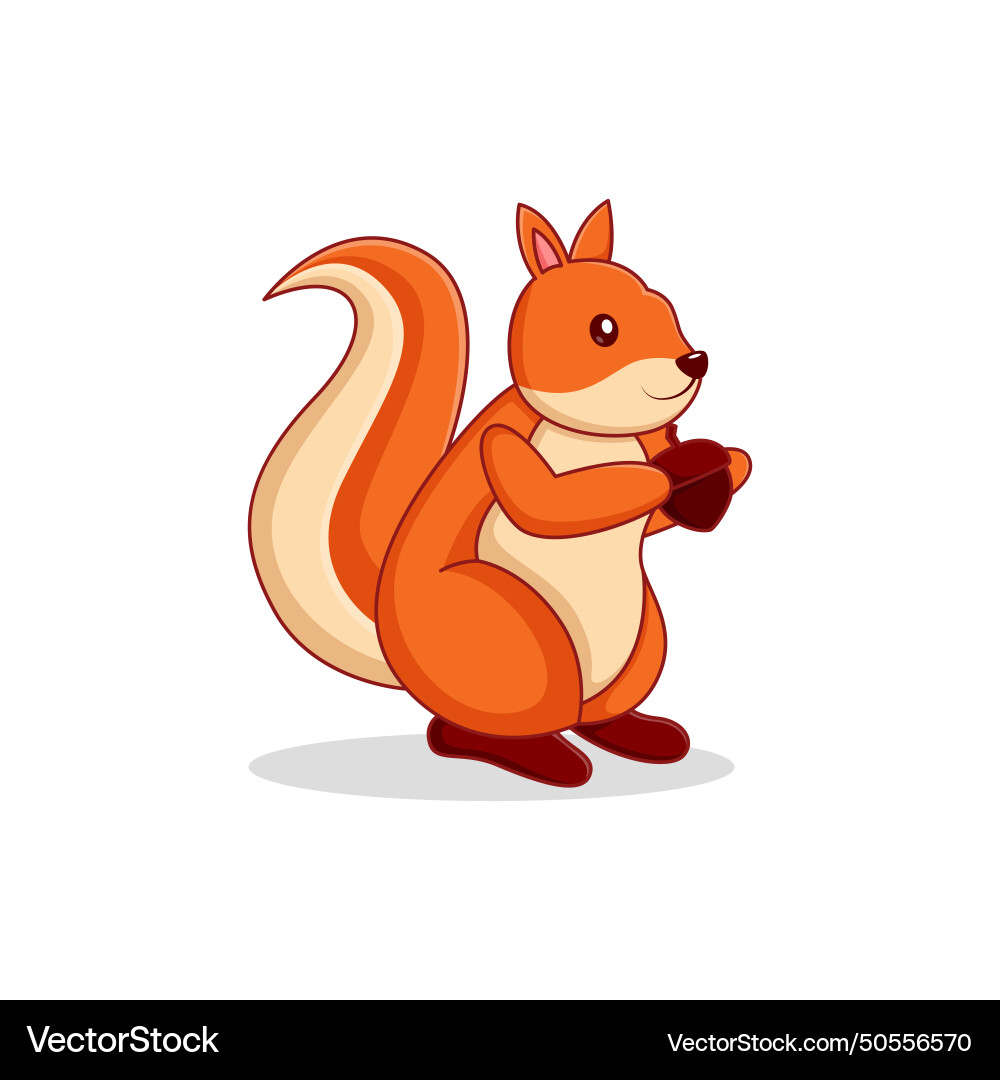 Cute squirrel character design Royalty Free Vector Image