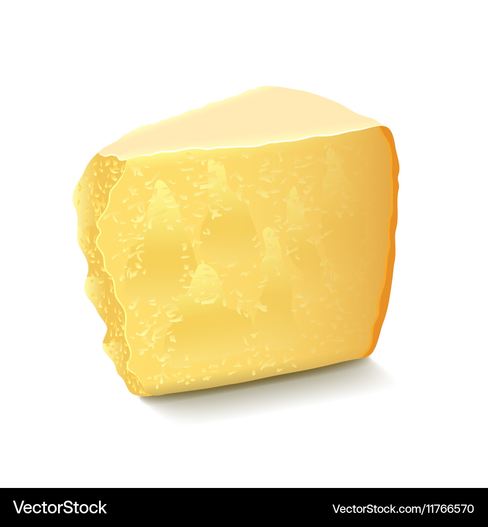 Parmesan cheese isolated on white Royalty Free Vector Image