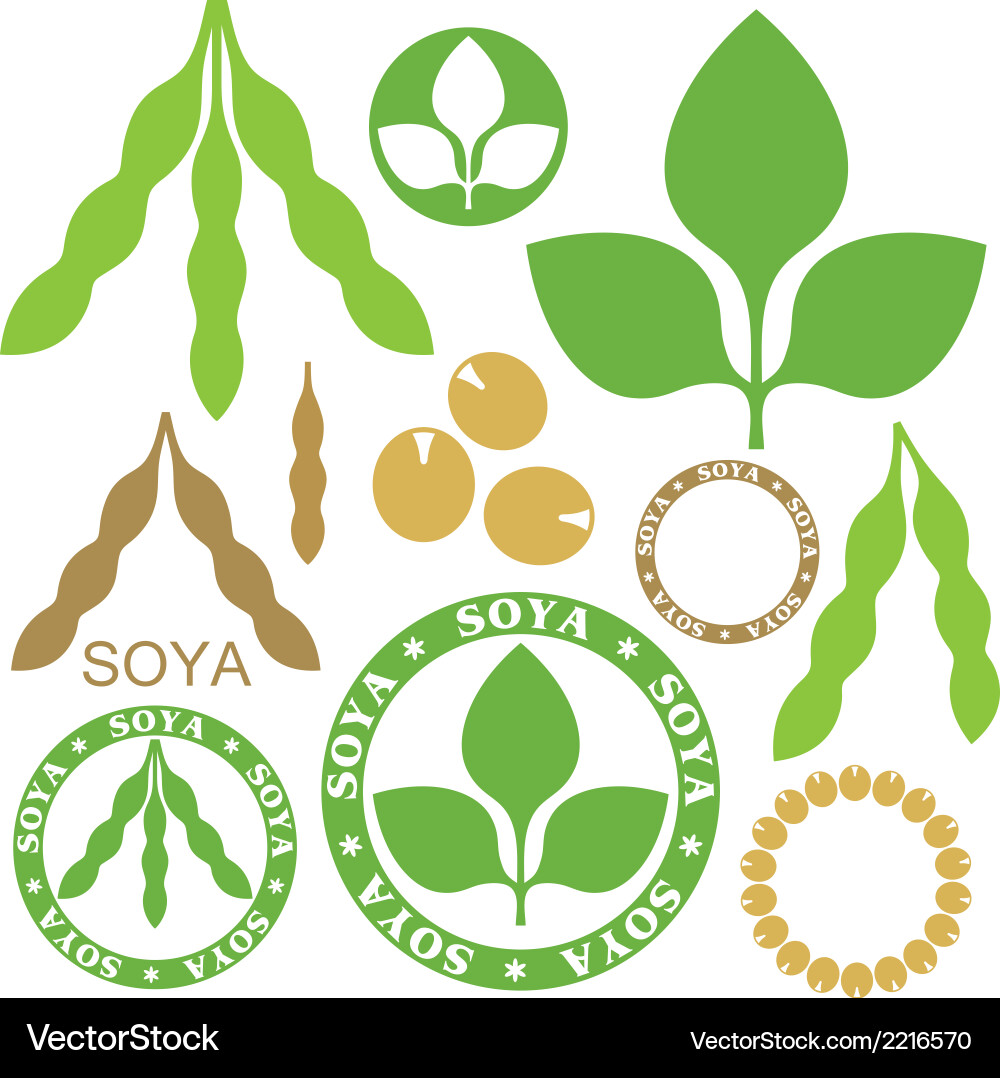 Soy Bean Vector Images (over 6,900)