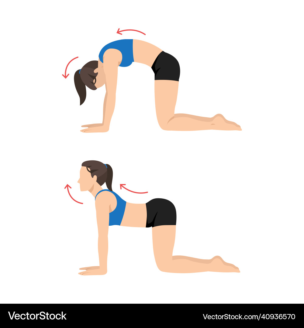 Yoga Cat Cow Pose Royalty Free Vector Image - VectorStock