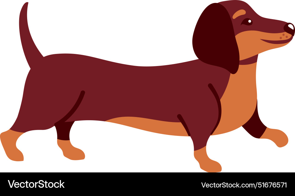 Dachshund dog animal Royalty Free Vector Image