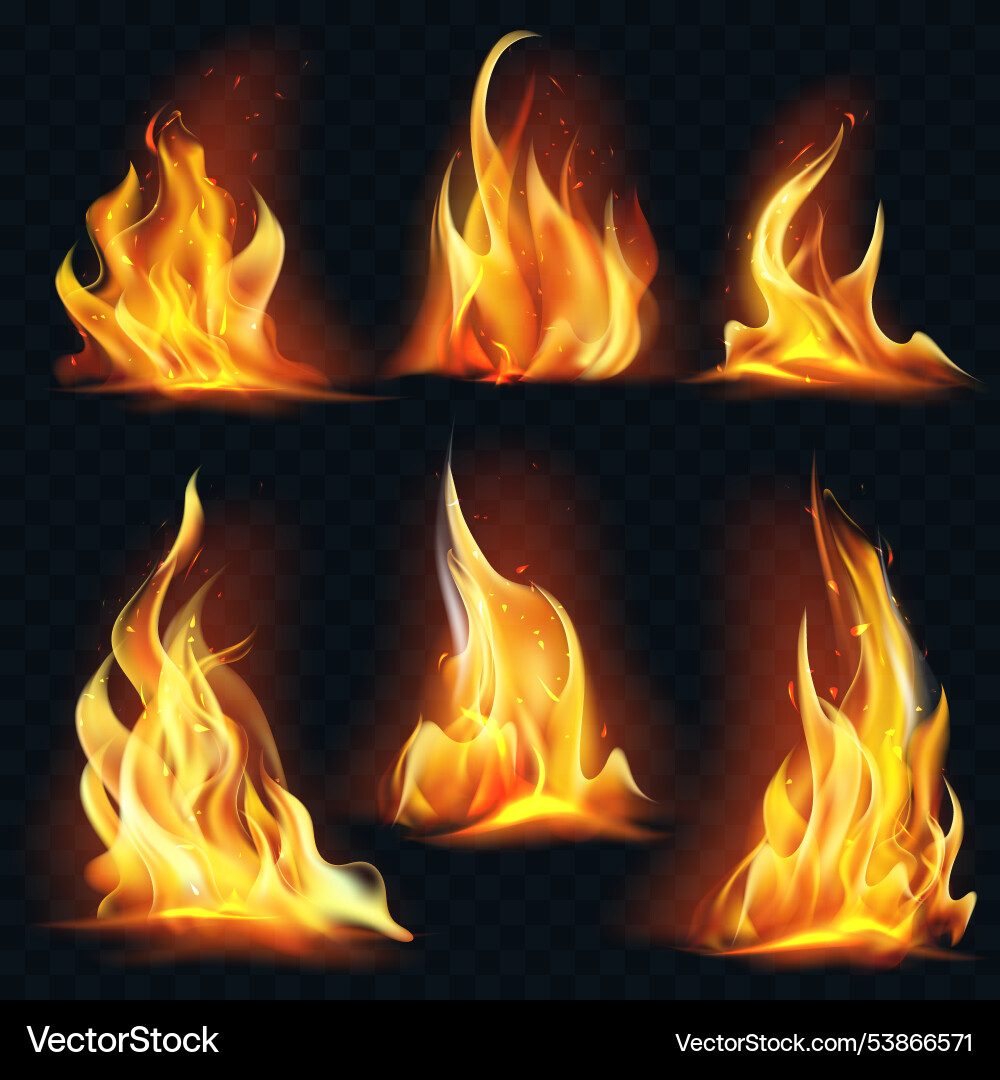 Dynamic Fire Flames and Effects Royalty Free Vector Image
