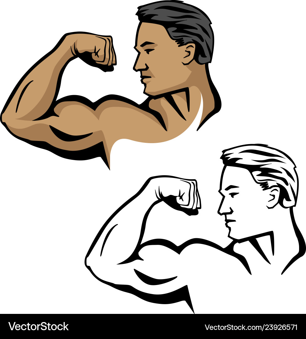 Muscular Arm Flexing Bicep Vector Illustration Download Biceps Vector
