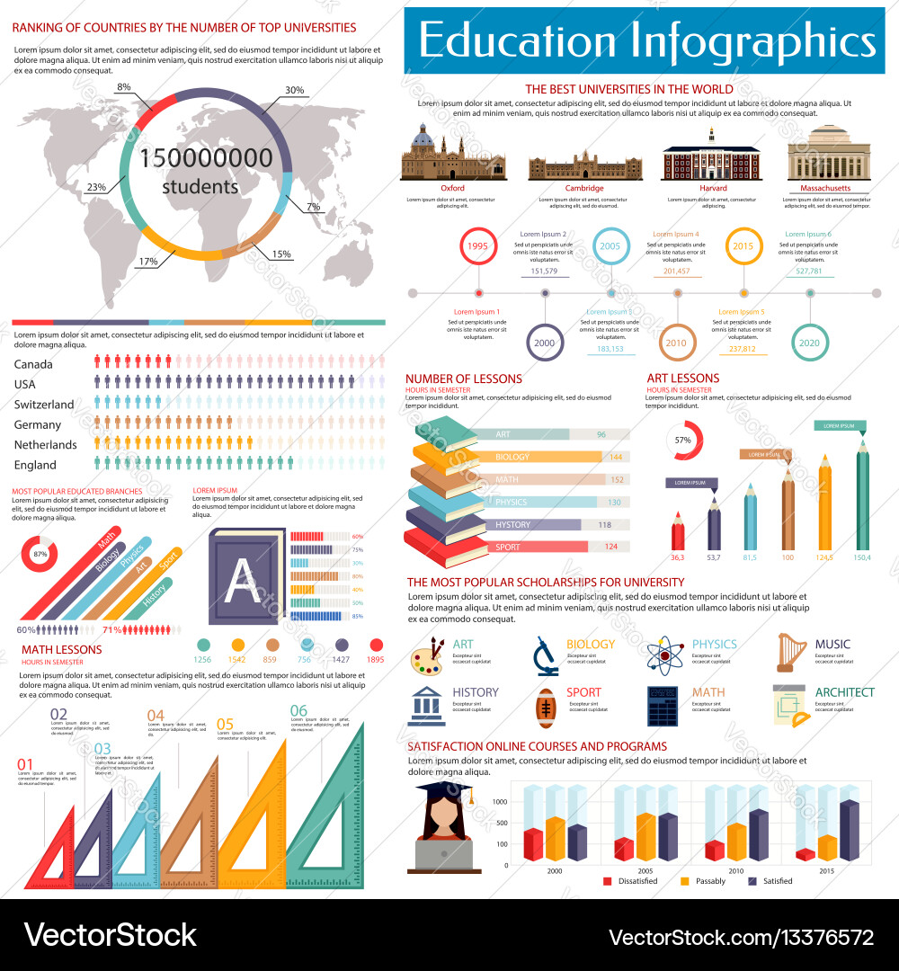 Education Infographics Design Template Flat Style Vector Image