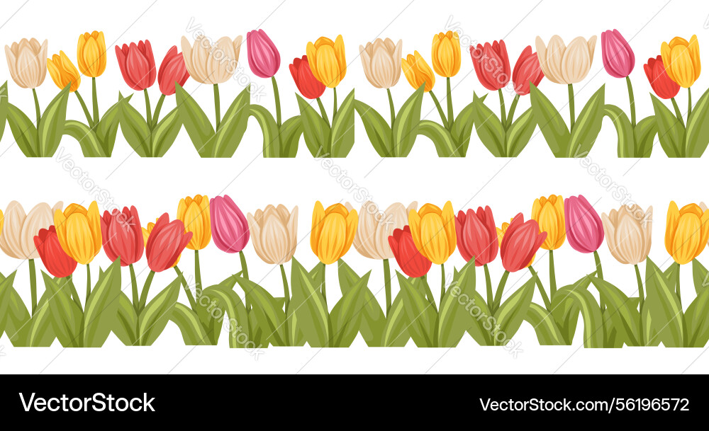 Set of horizontal frame spring colorful tulips Vector Image