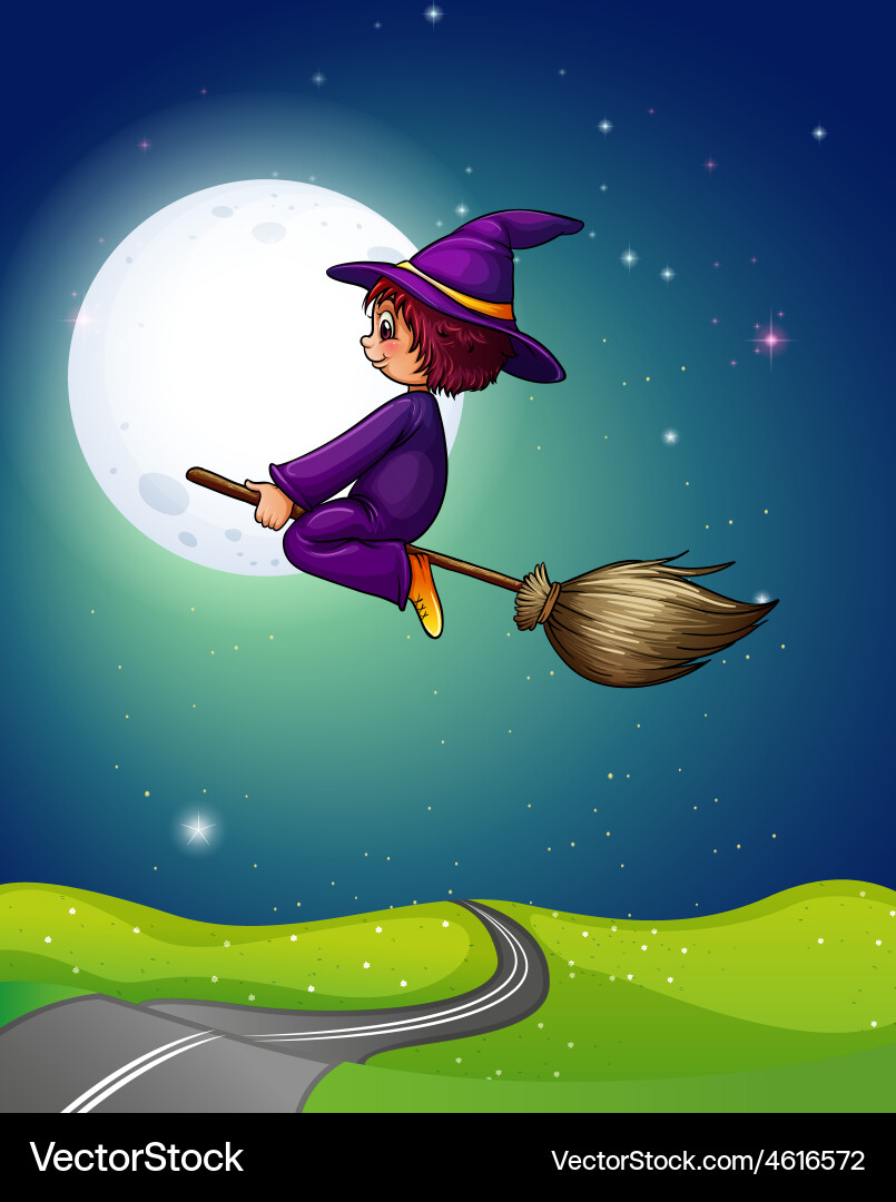 Witch flying Royalty Free Vector Image - VectorStock
