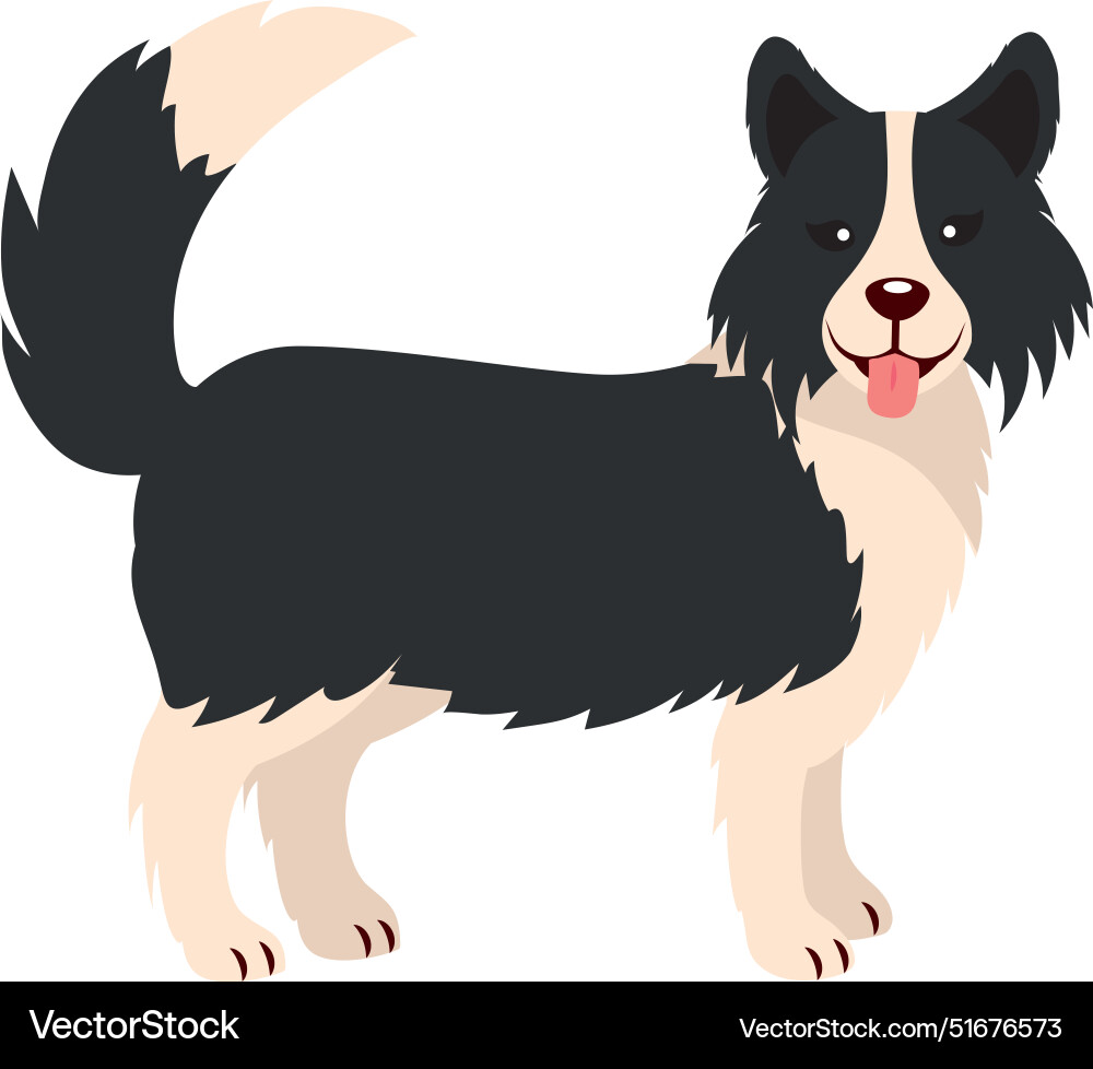 Border collie dog standing Royalty Free Vector Image
