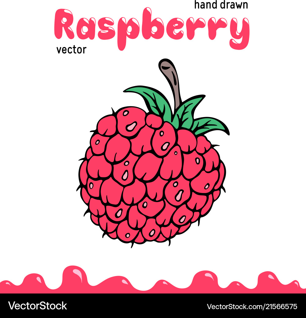 Raspberry berry clipart Royalty Free Vector Image