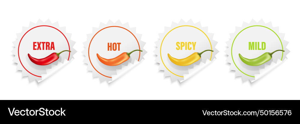 Realistic round stickers with spicy chili Vector Image