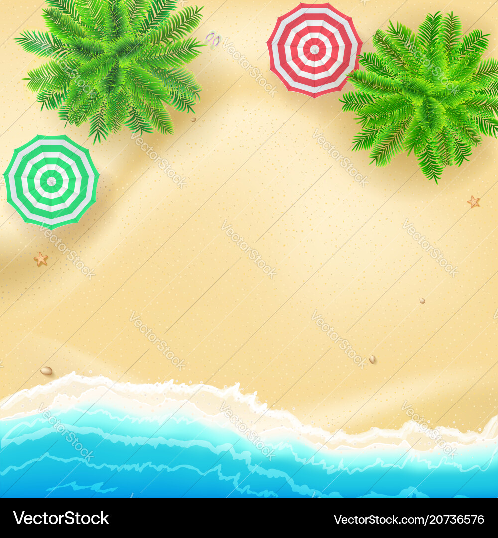 Tropical landscape with blue sea starfish Vector Image