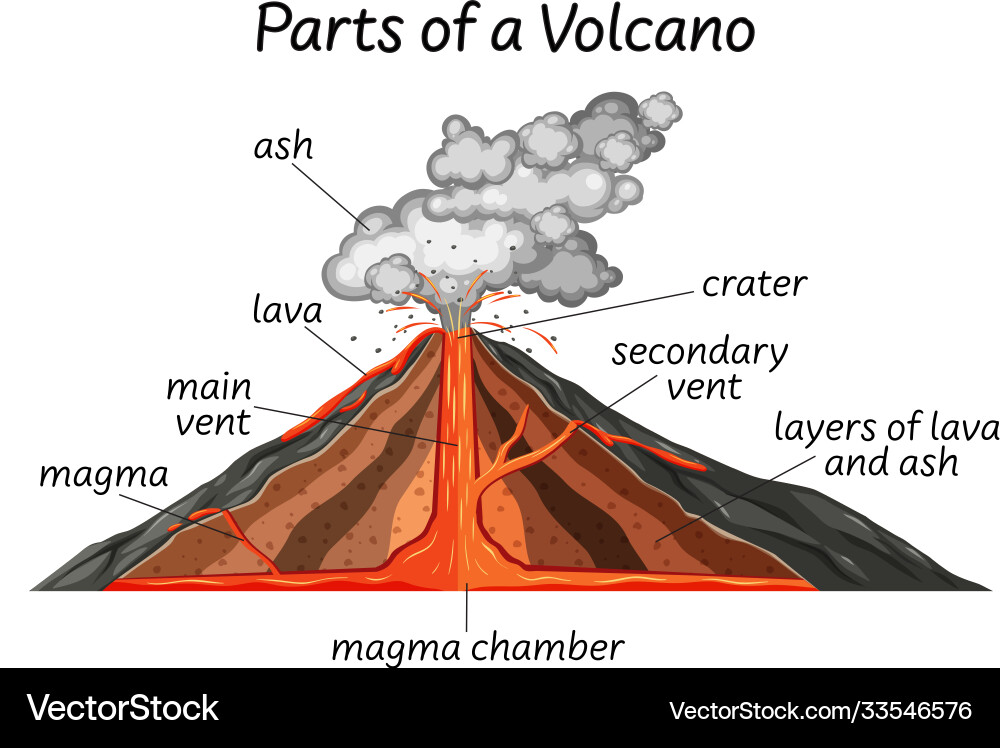 Volcano Anatomy Diagram Royalty Free Vector Image
