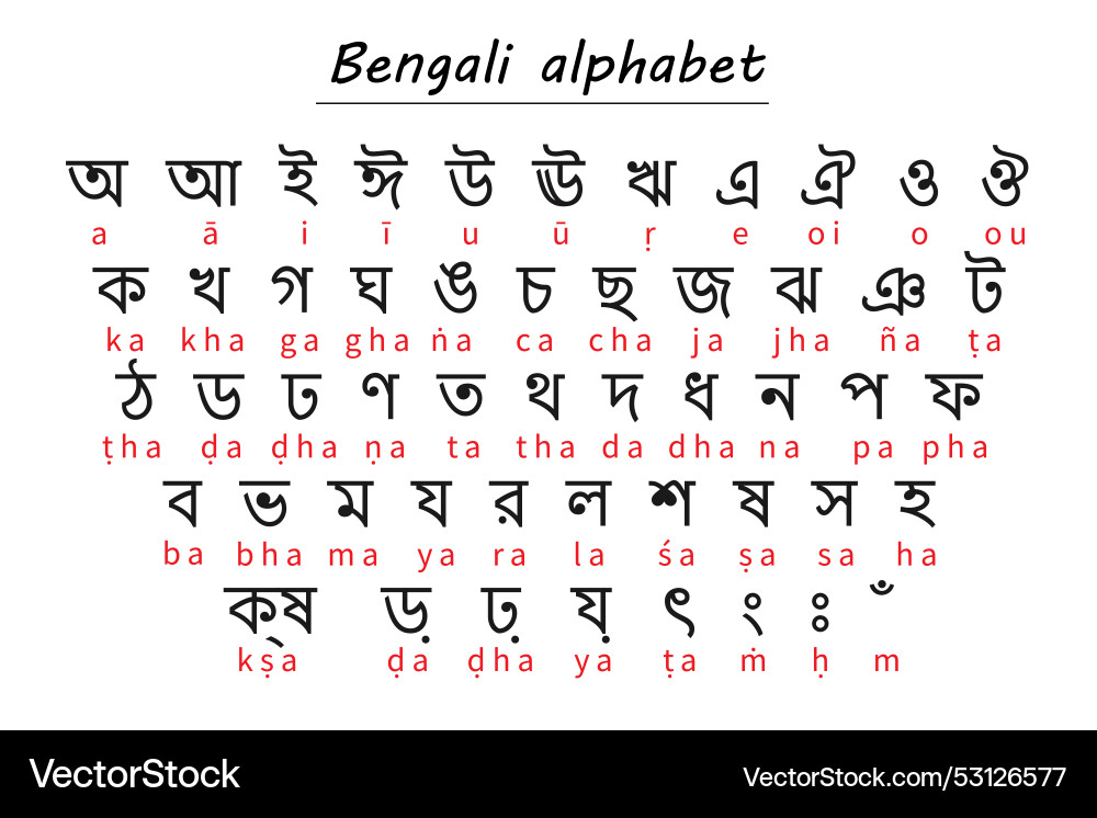 Bengali alphabet chart with romanized Royalty Free Vector