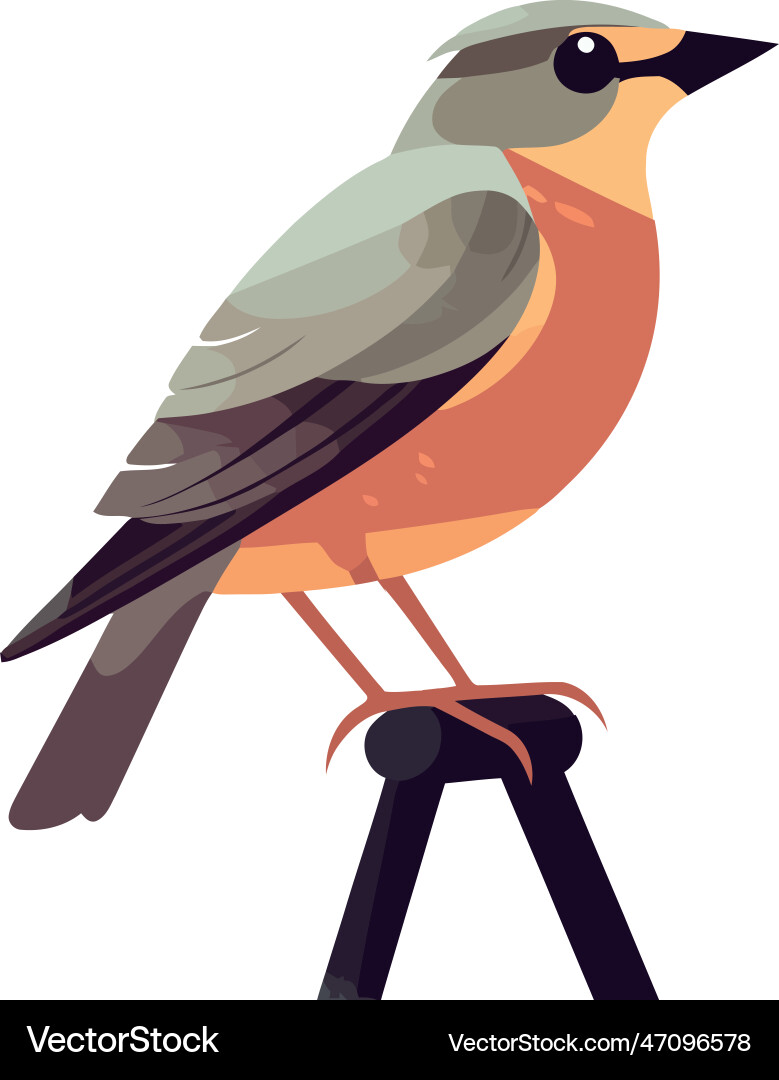 Cute finch perching on branch Royalty Free Vector Image