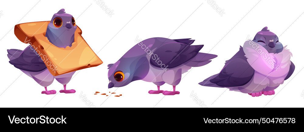 Pigeon bird characters eating set Royalty Free Vector Image