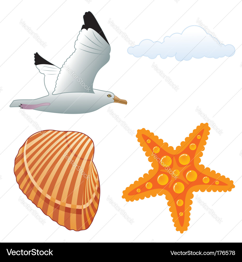 Seagull and shell Royalty Free Vector Image - VectorStock