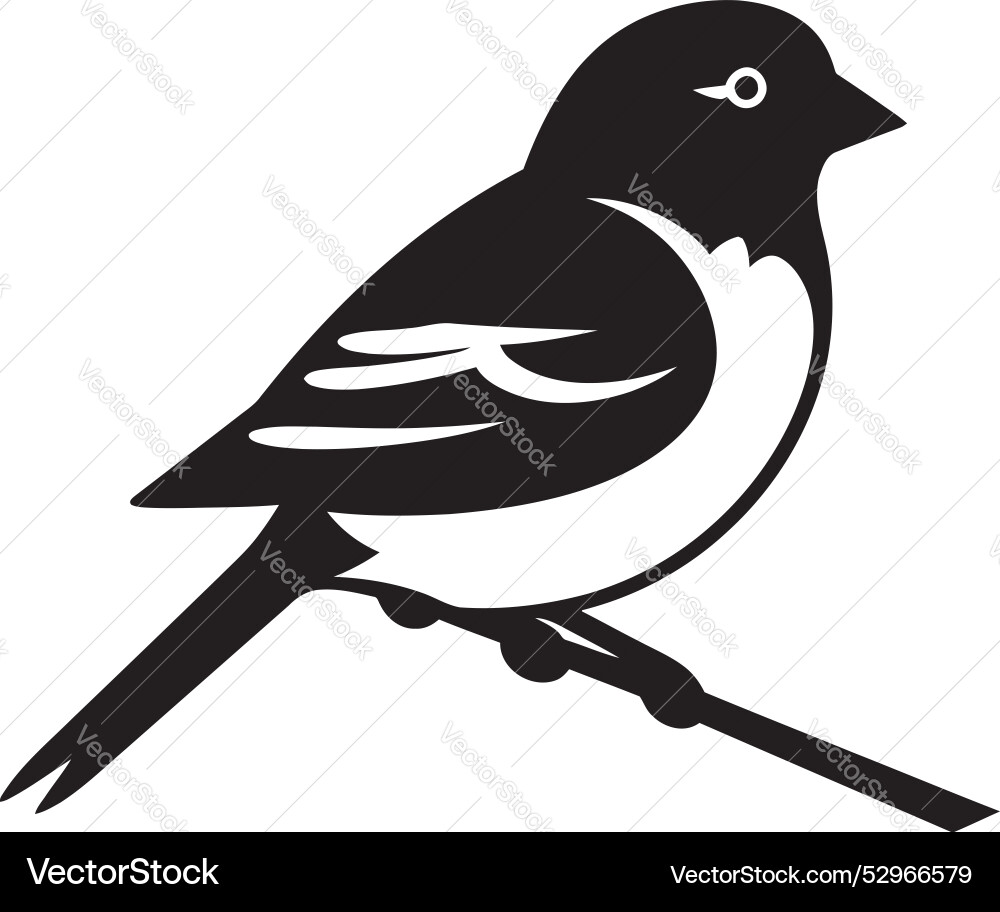 Flight feather sparrow mark sky songbird sparrow Vector Image
