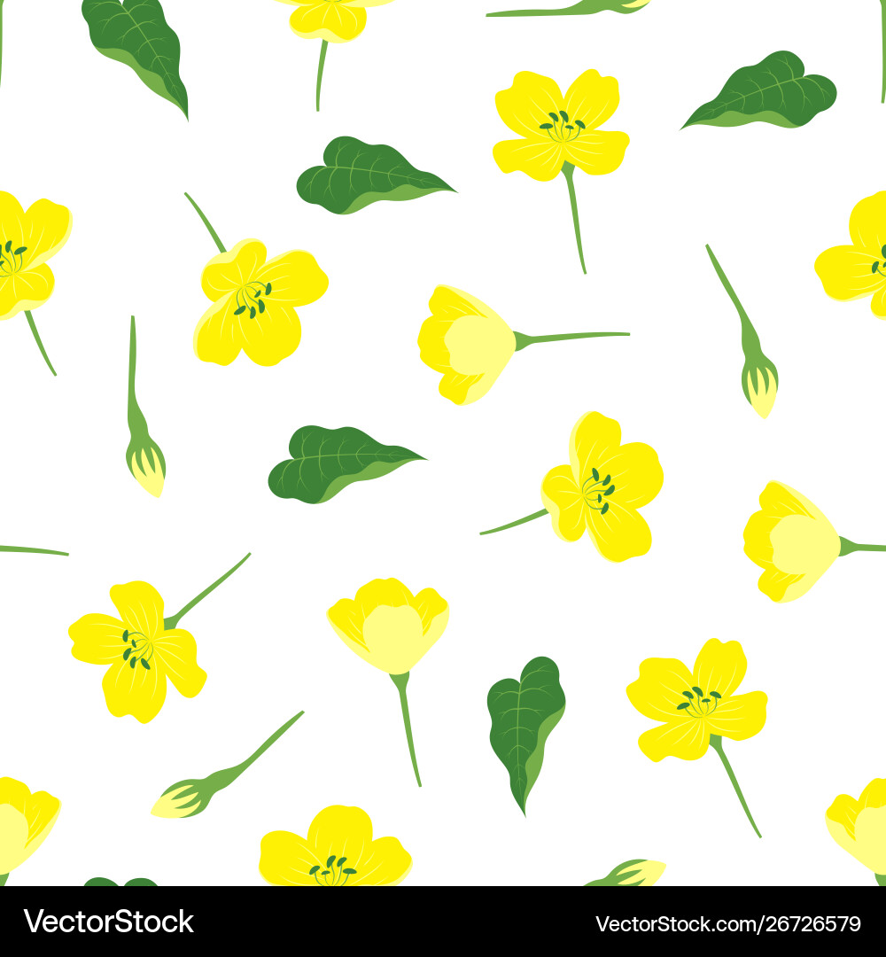 Rapeseed Flower Pattern Royalty Free Vector Image