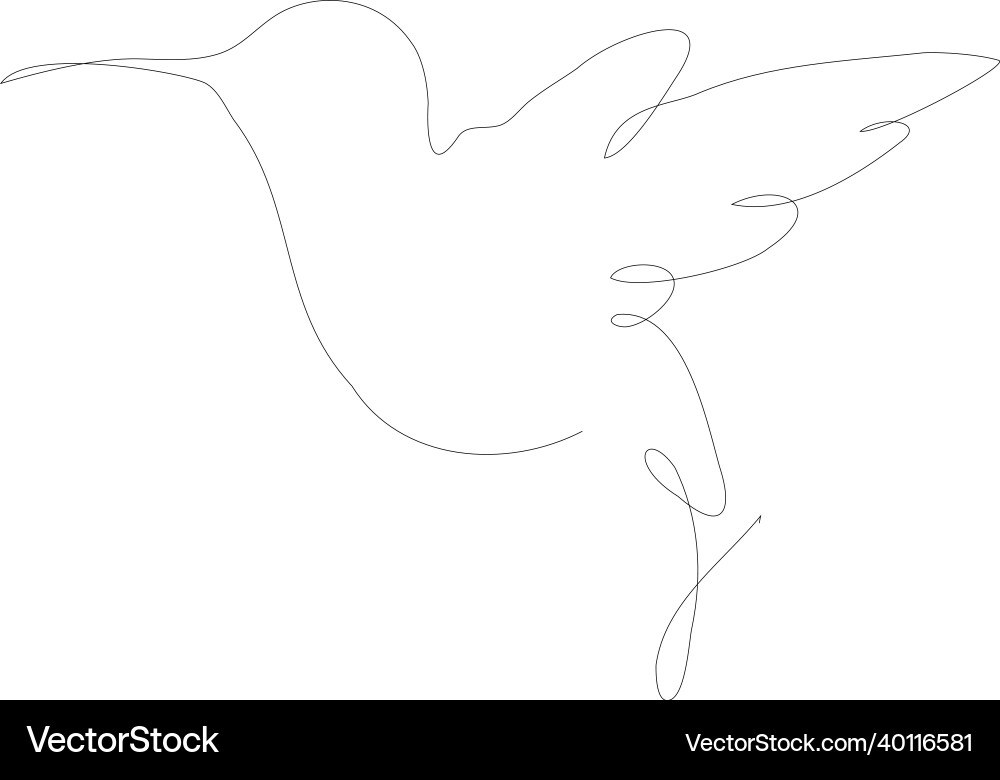 Continuous one line drawing of hummingbird Vector Image