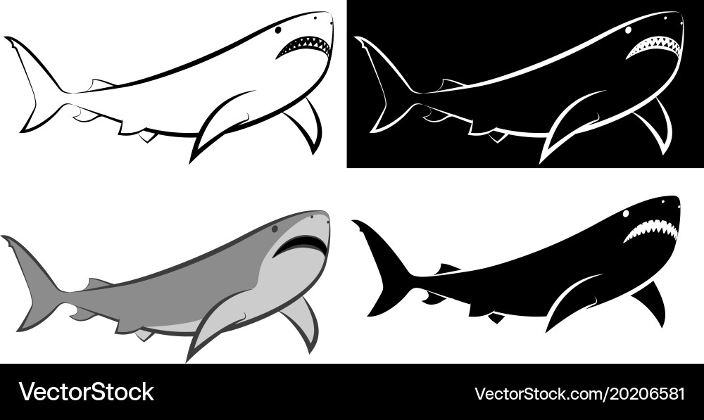 Shark Royalty Free Vector Image - VectorStock