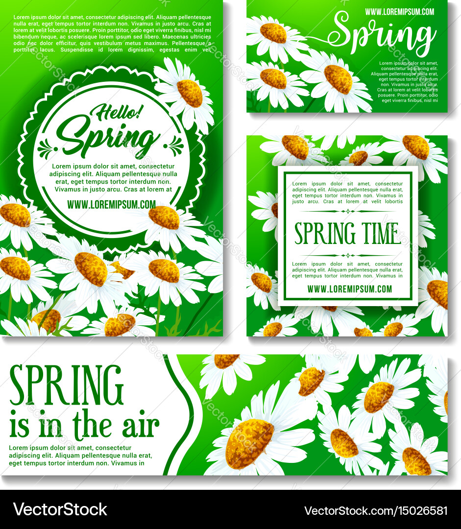 Spring flowers banner and greeting card template Vector Image