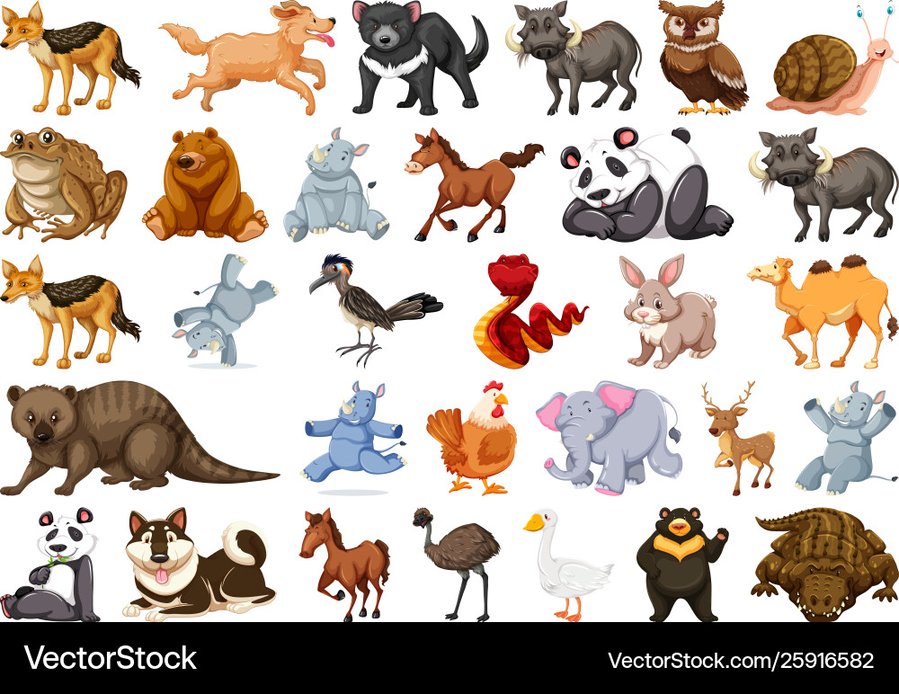 Diverse Animal Character Set Royalty Free Vector Image