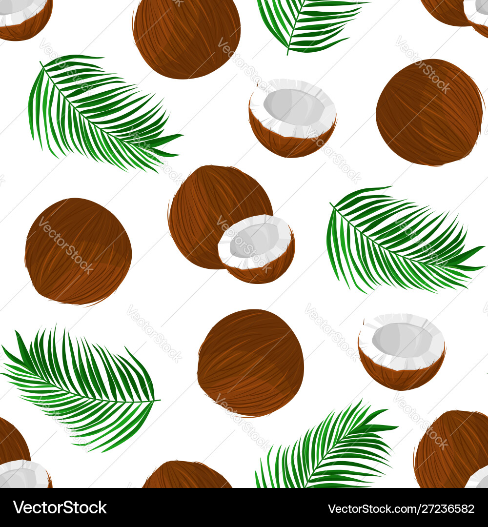 Tropical Coconut Pattern Royalty Free Vector Image
