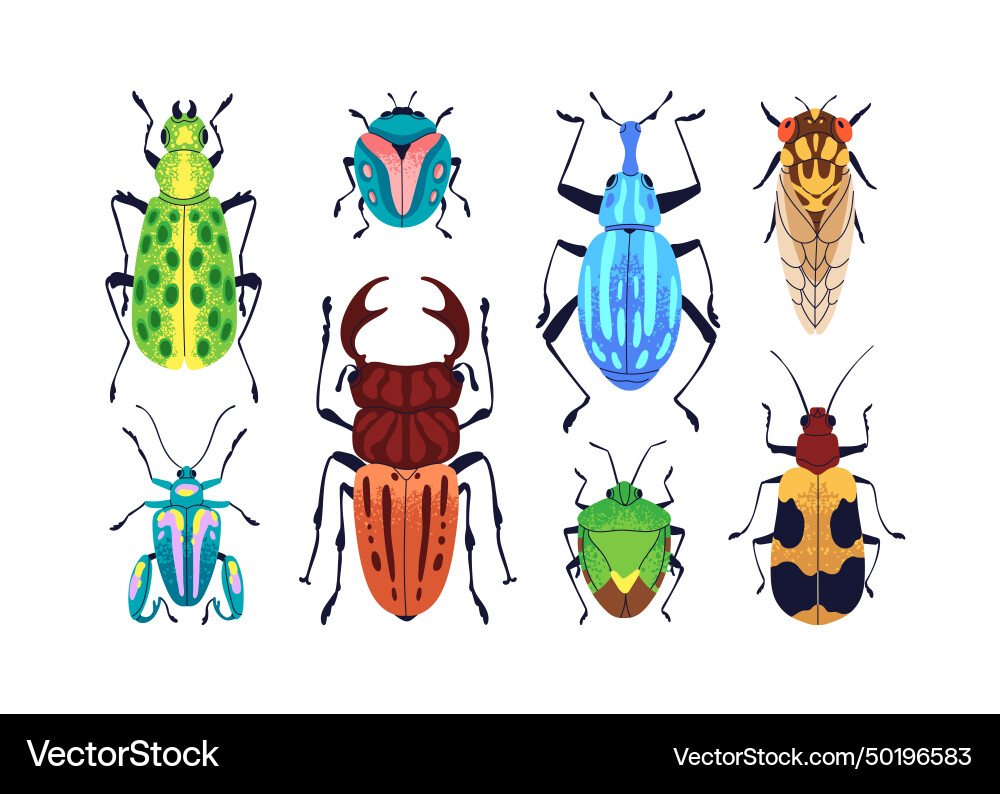 Bugs set stag beetle wasp fancy animals bright Vector Image