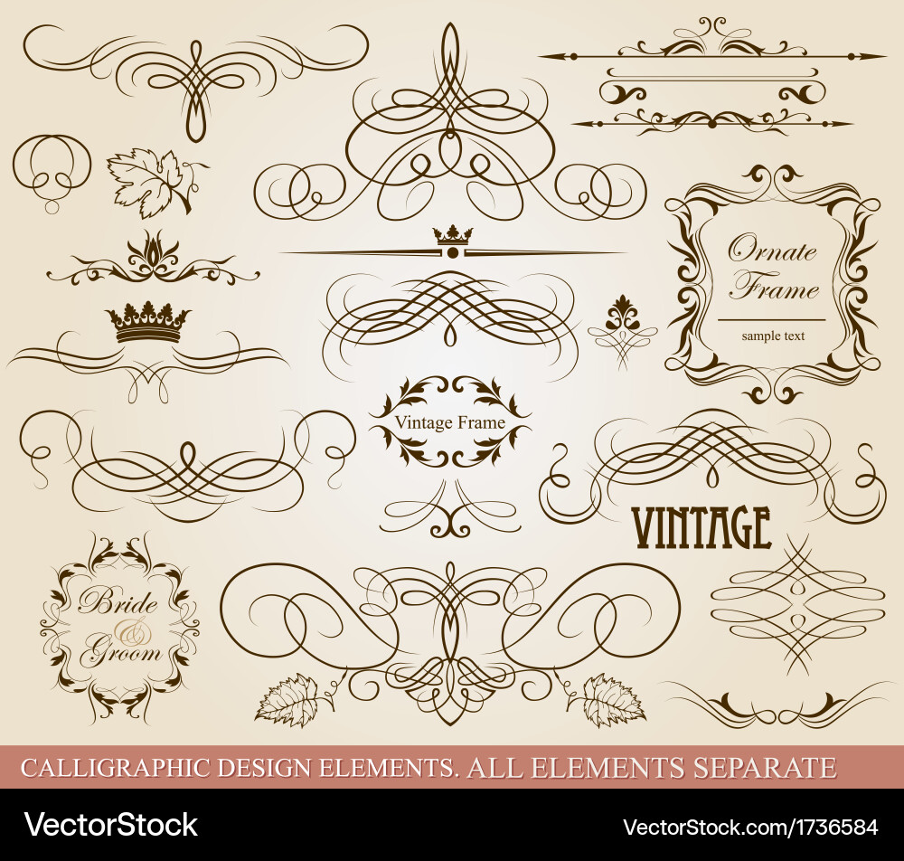 Calligraphic elements Royalty Free Vector Image