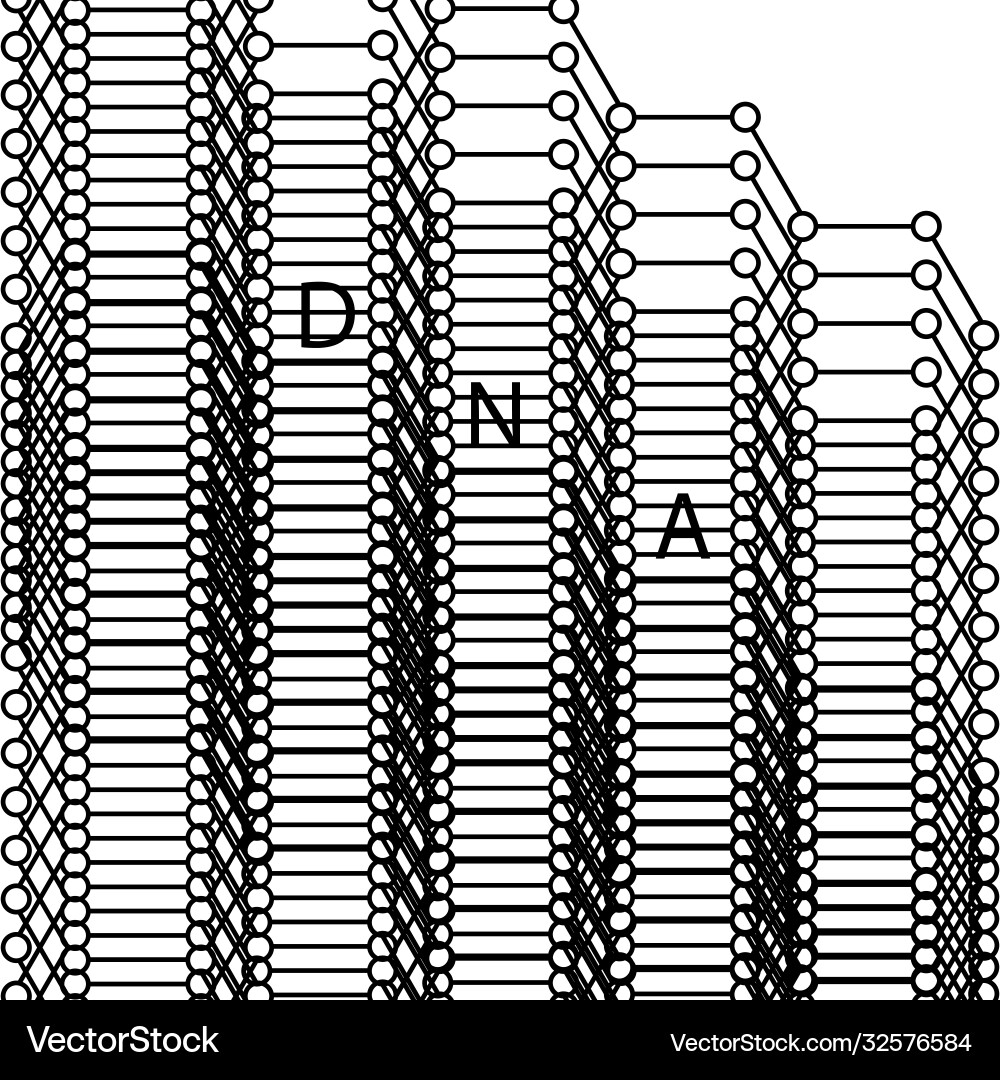 Dna design over white background Royalty Free Vector Image