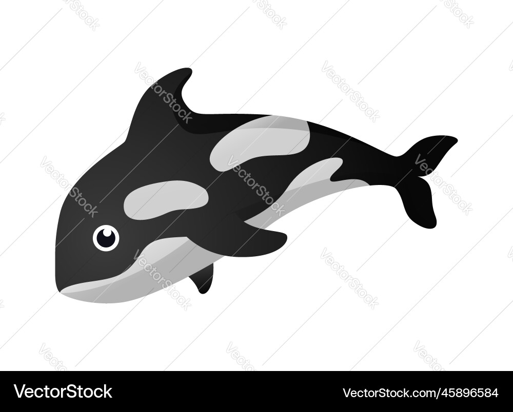 Killer whale orca cartoon character Royalty Free Vector