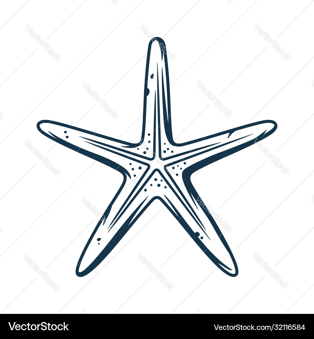 Marine nautical oceanic star fish exotic starfish Vector Image