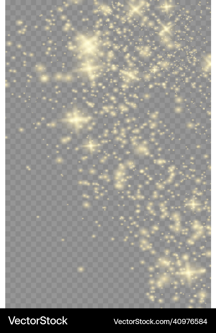 Sparkling magical dust particles the sparks Vector Image