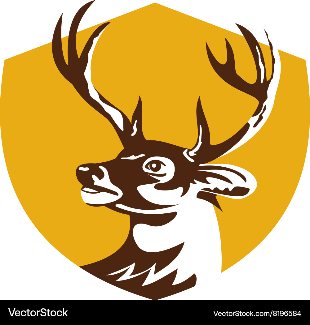 Whitetail Deer Vector