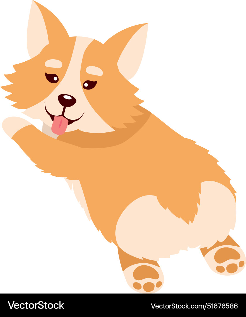 Corgi dog purebred pet Royalty Free Vector Image