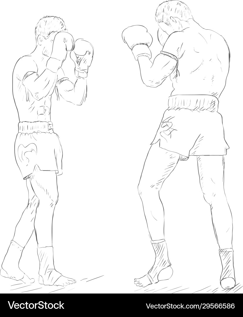 Boxer Fighter Drawing Victorious Boxers 2 Fighting Spirit
